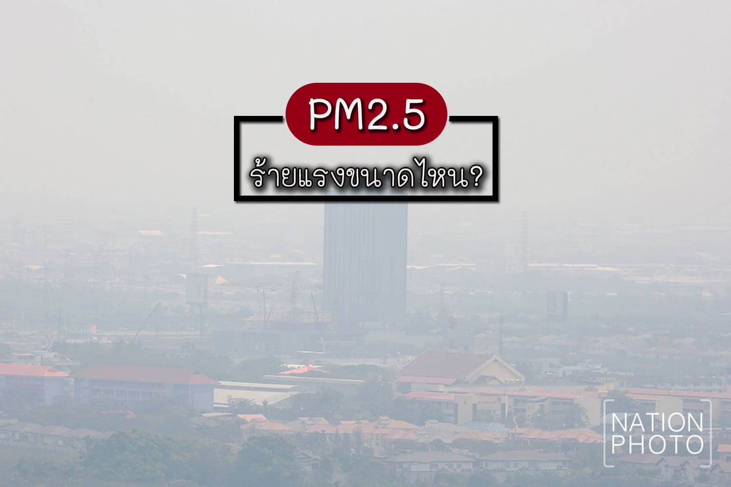 PM 2.5 คืออะไร? มีผลต่อร่างกายยังไง วิธีป้องกันที่ดีที่สุด - GoWabi